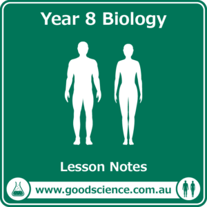 Year 8 Biology PDF Workbook | Good Science