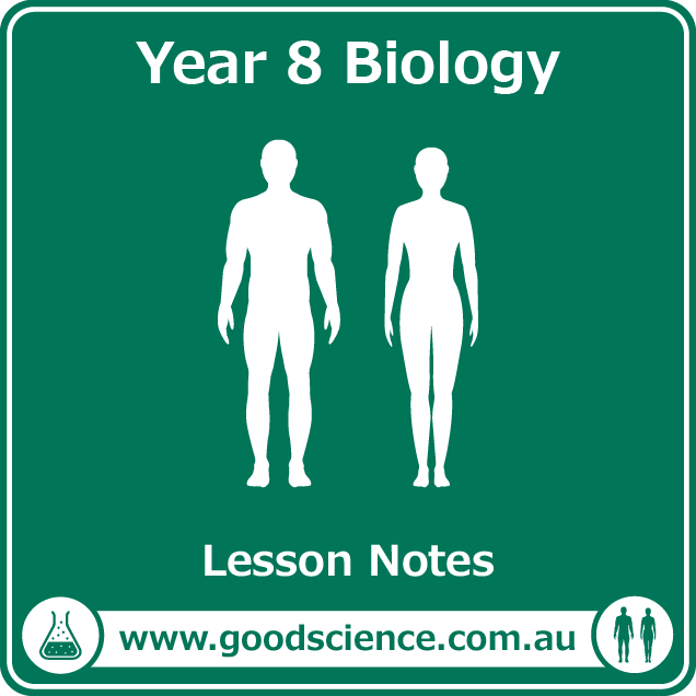 Year 8 Biology Lesson Notes | Good Science