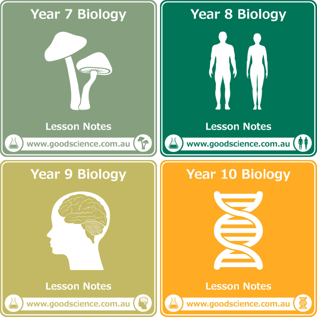 Years 7-10 Biology Lesson Notes Bundle | Good Science