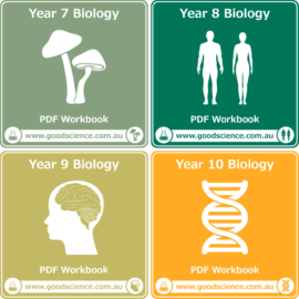 Year 7 Biology PDF Workbook | Good Science