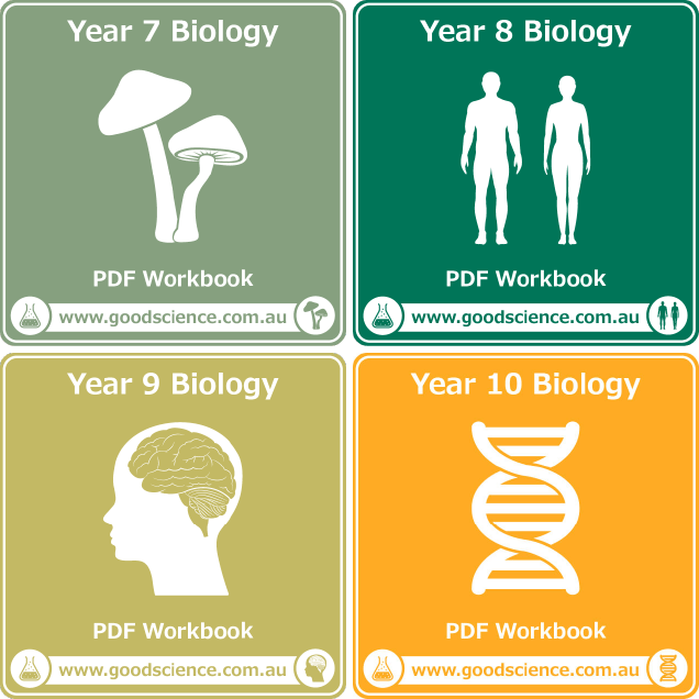 Years 7-10 Biology PDF Workbook Bundle | Good Science